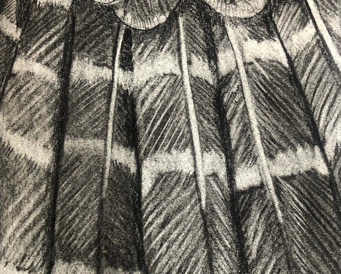 Originals – Blue Chickadee Americana and Folk Art