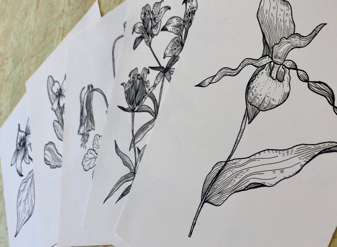 Prints – Blue Chickadee Americana and Folk Art